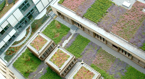 Green Roofs - Fairconditioning